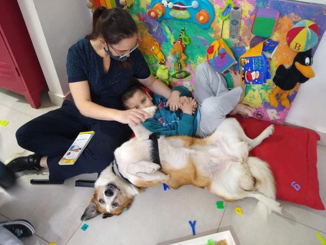 Terapia asistida con perros para niños con autismo: Ya son más de 70 ...